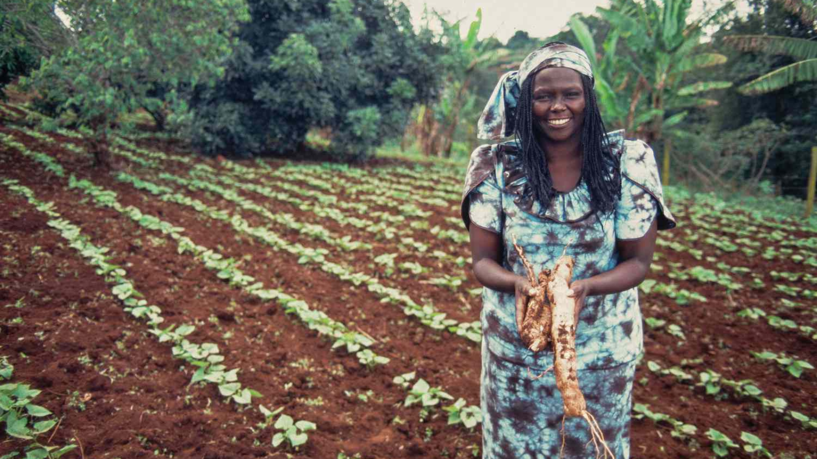 Wangari Maathai: Being the Change in a Changing World – Kanju Interiors