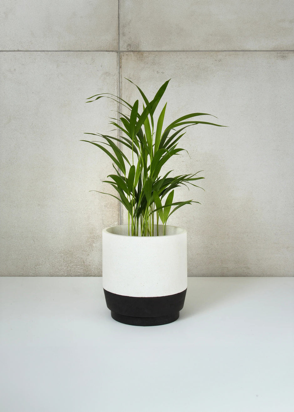 Planters – Kanju Interiors