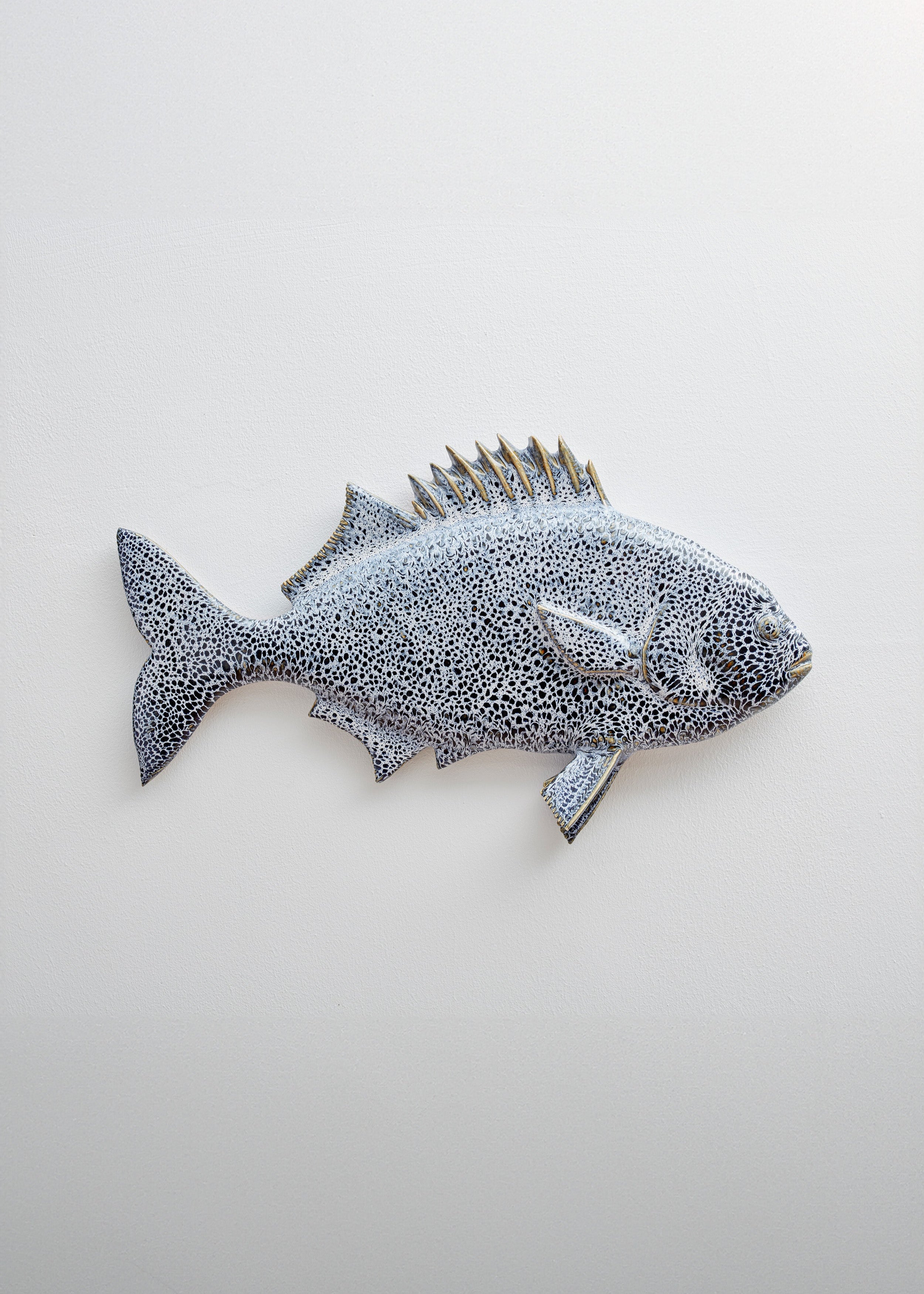 Wiid Galjoen Fish Ceramic Wall Cast, Unique Ceramic Wall Hanging ...
