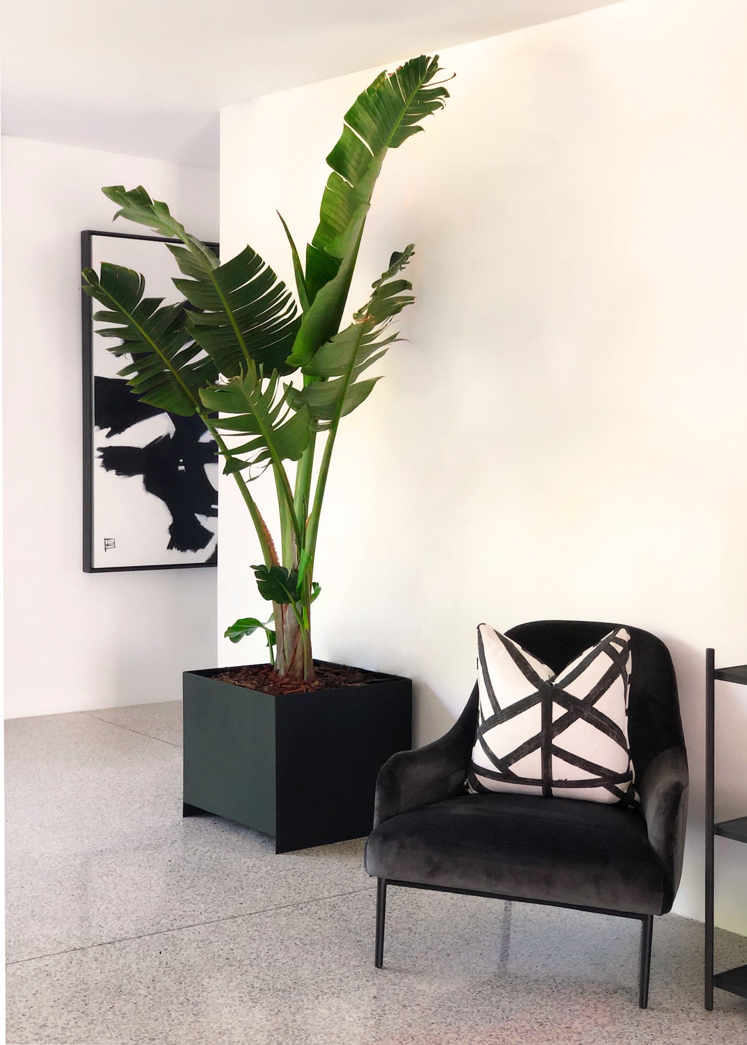 Shop All Planters – Kanju Interiors