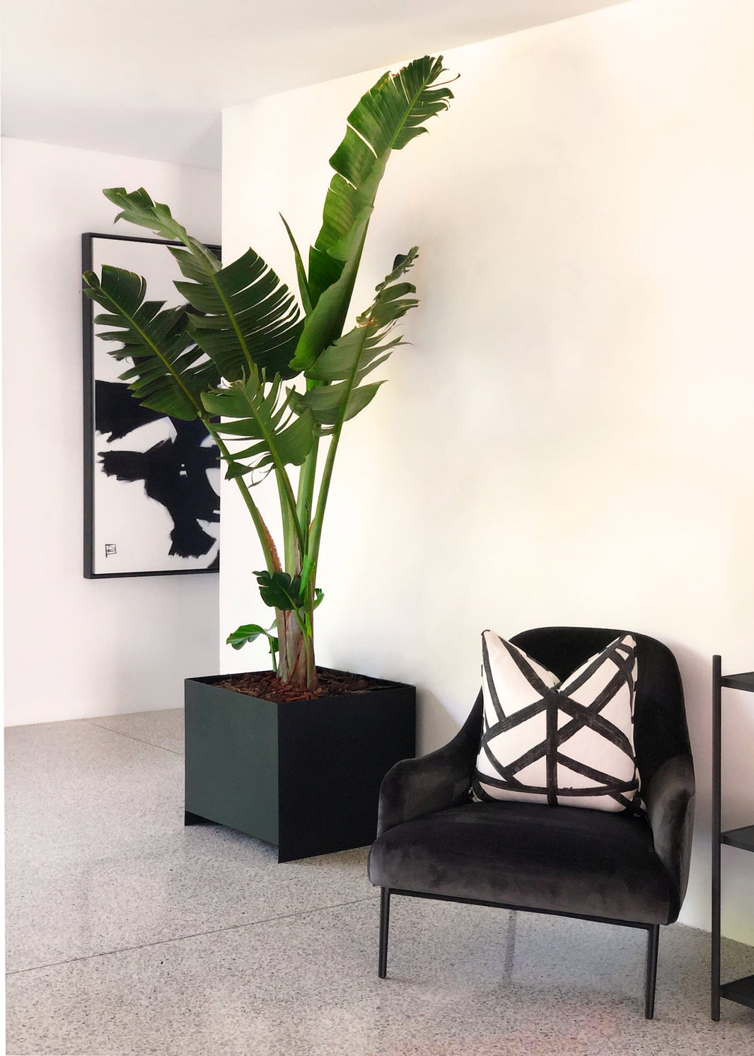 Planters – Kanju Interiors