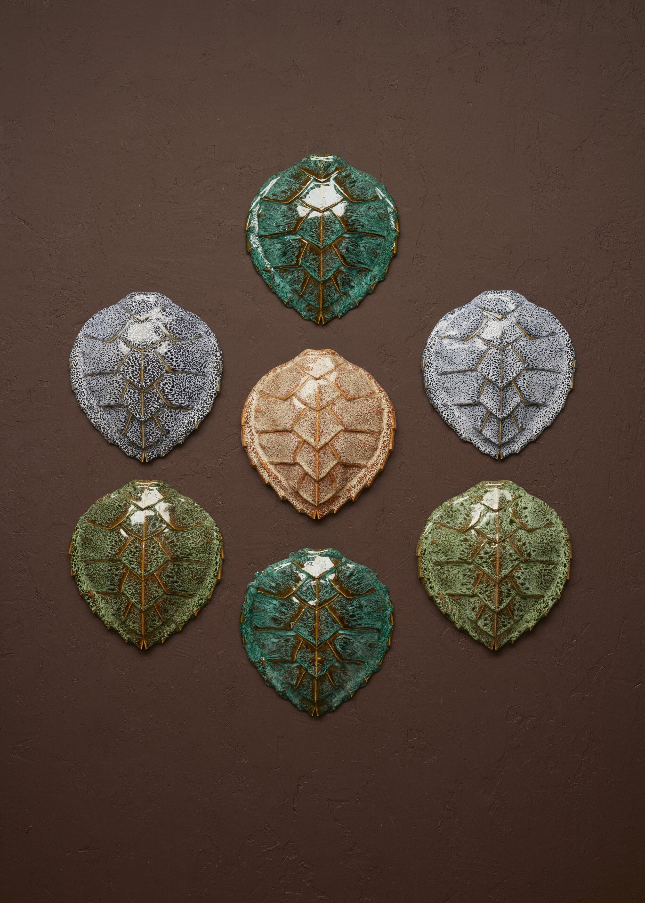 Wiid Hawksbill Turtle Shell Ceramic Wall Cast Set of 7, Artistic Wall ...
